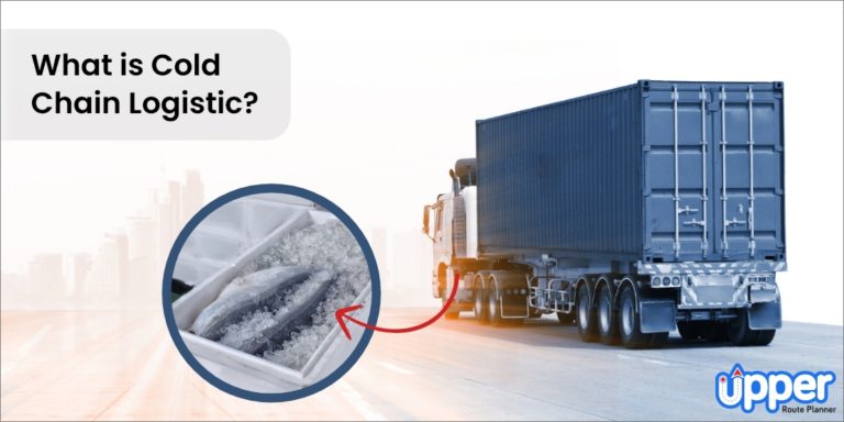 Cold Chain Logistics: Process, Challenges, Solutions (Guide 2024)