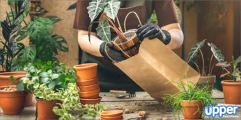 How to Ship Plants: The Ultimate Guide for Safe Delivery in 2024